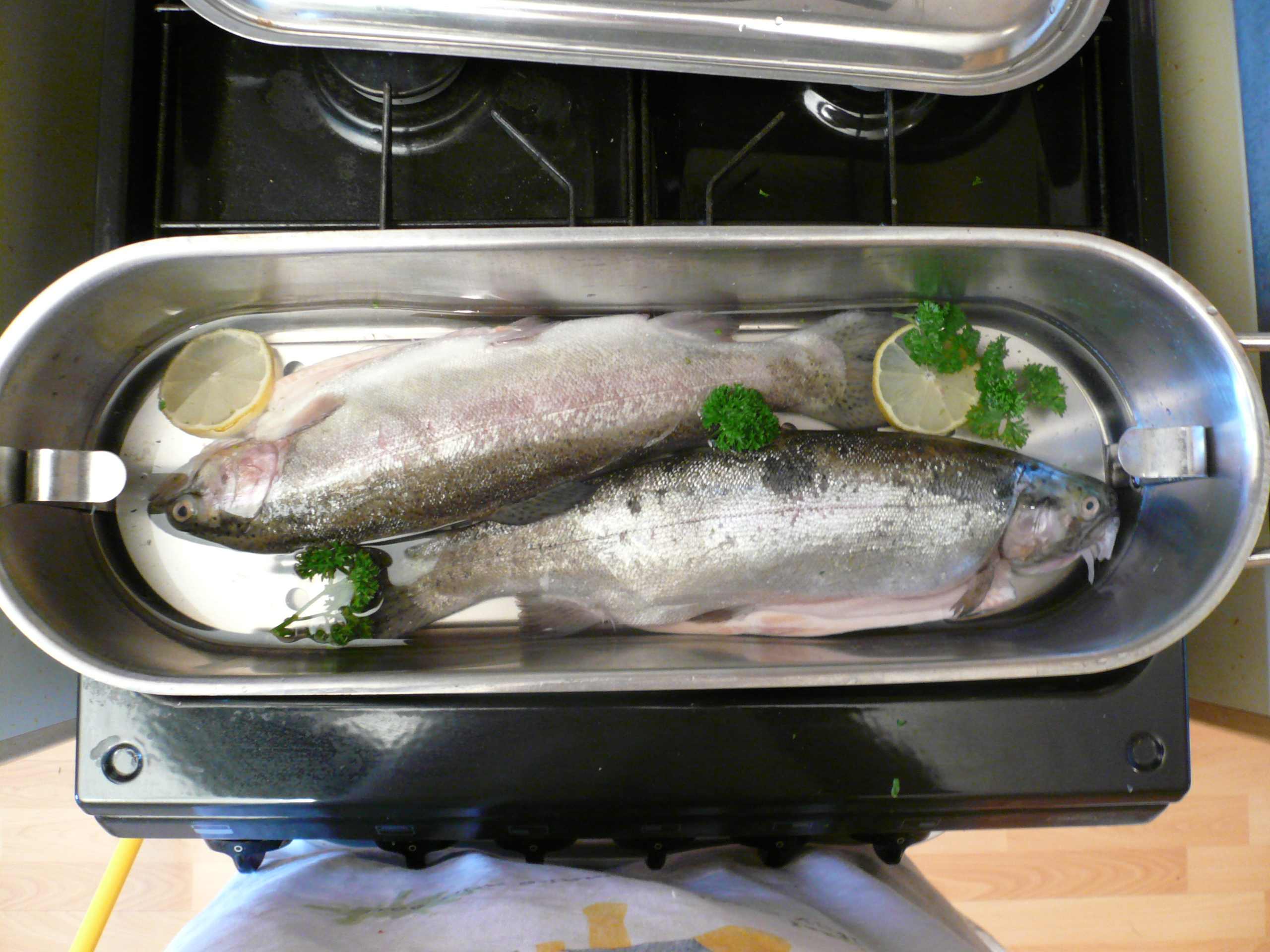 A Whole Other Kettle of Fish – English-Language Thoughts