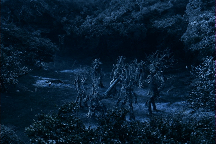 A Moot Point – English-Language Thoughts