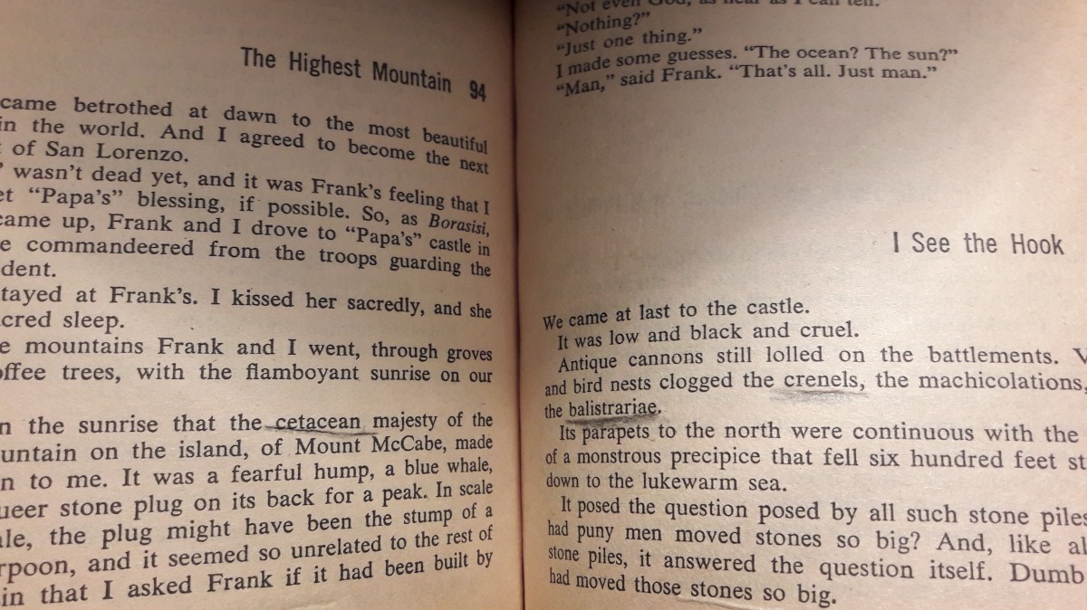 Words I Don’t Know – English-Language Thoughts