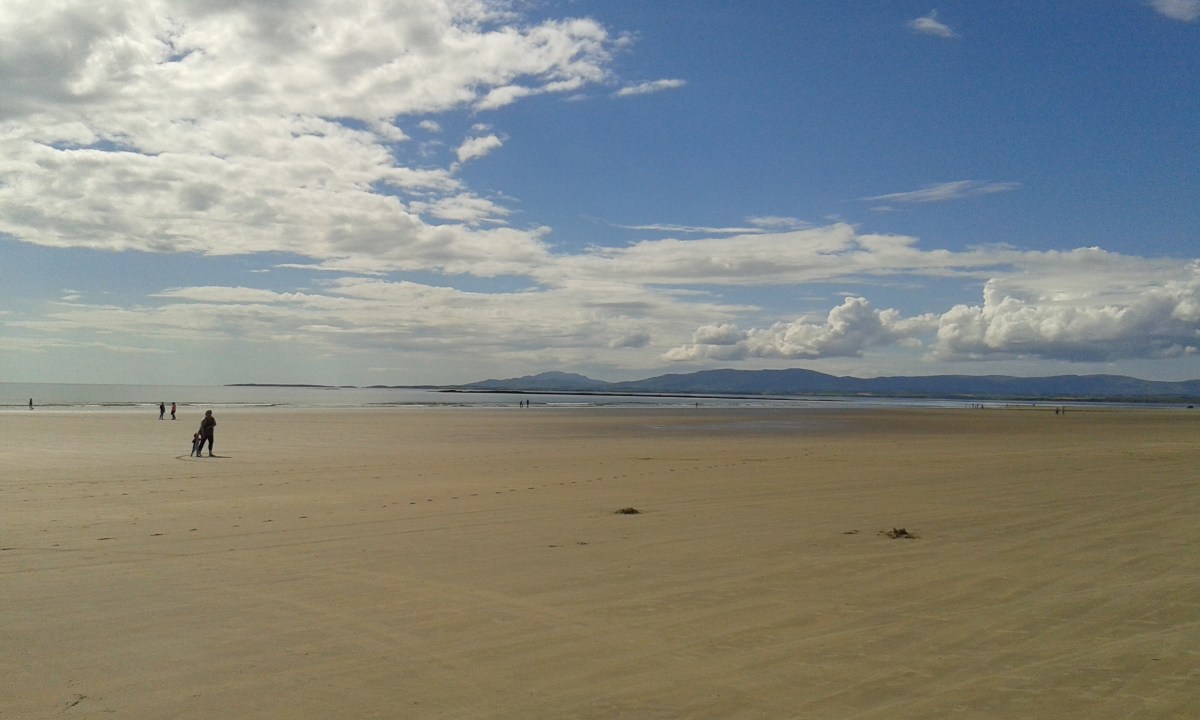 Envision and Envisage – English-Language Thoughts