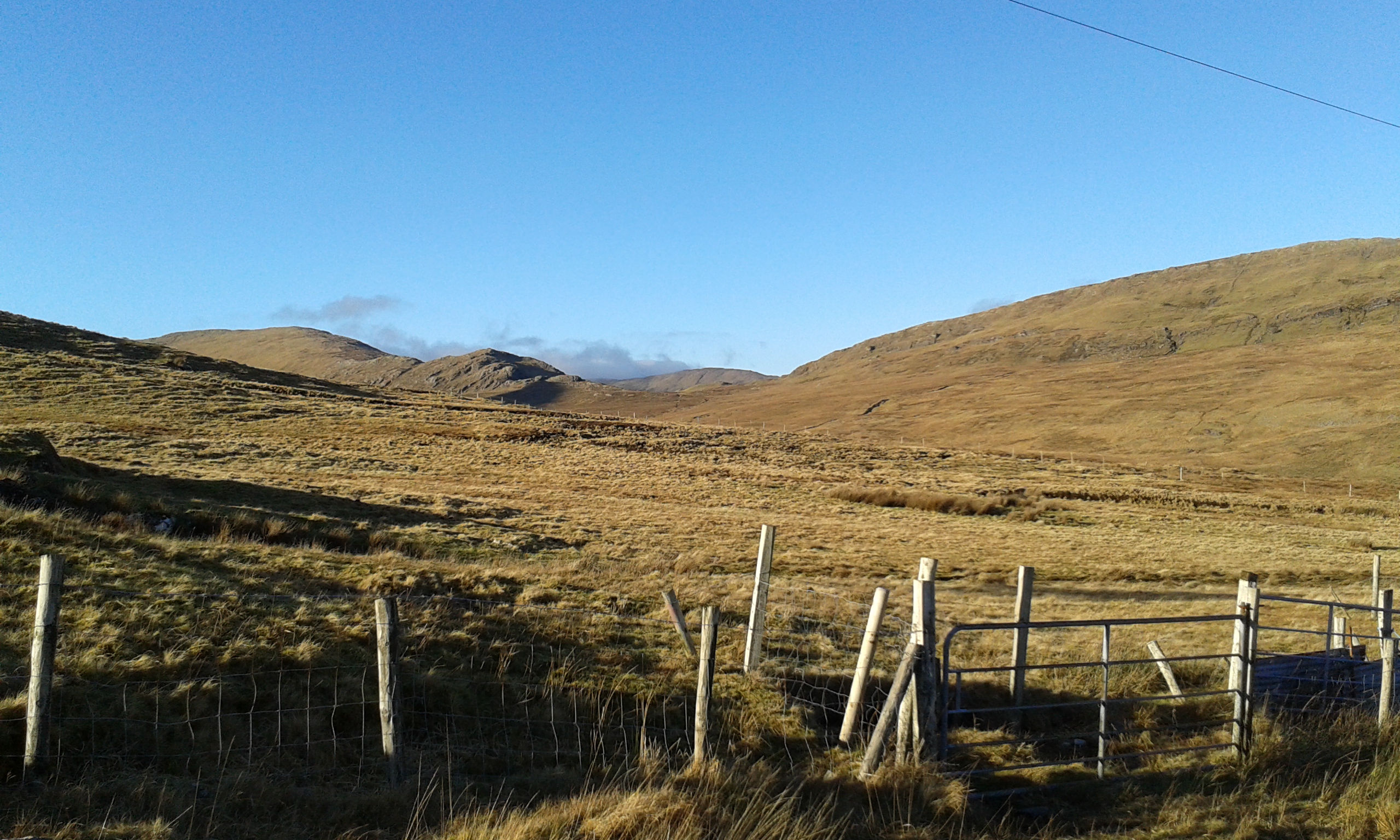 Having a Field Day – English-Language Thoughts